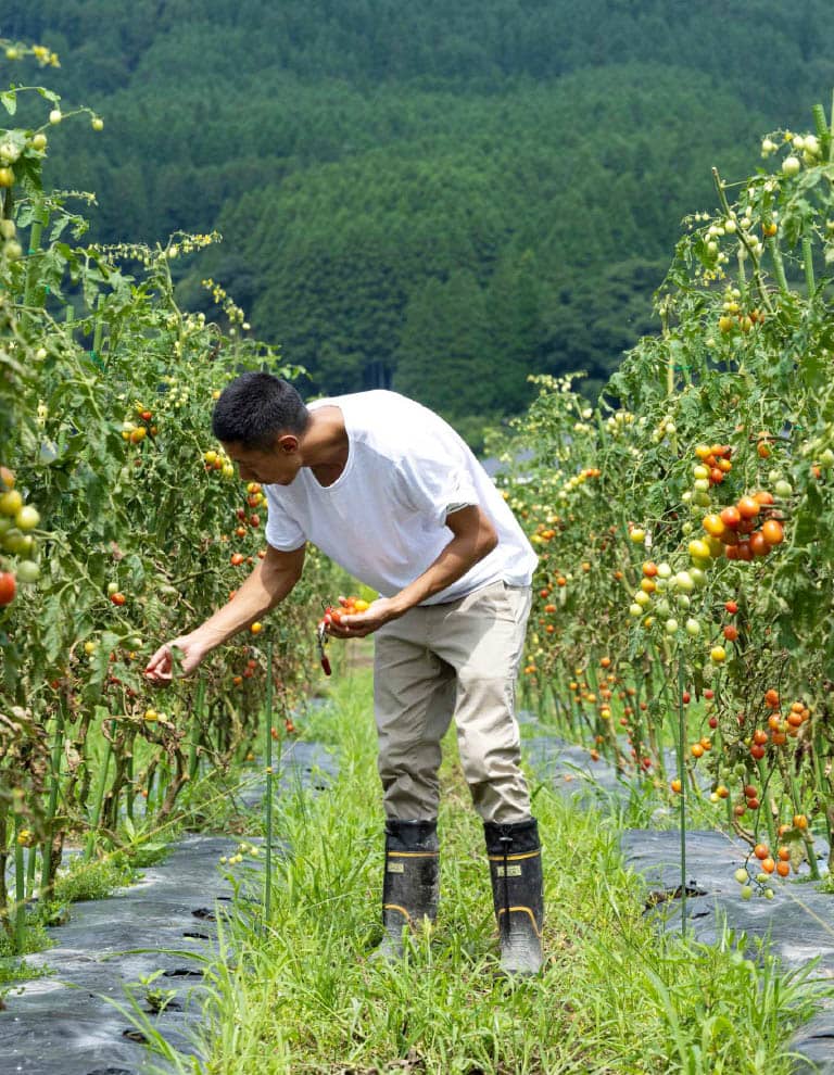 ENOWA Farm | ENOWA YUFUIN【公式】