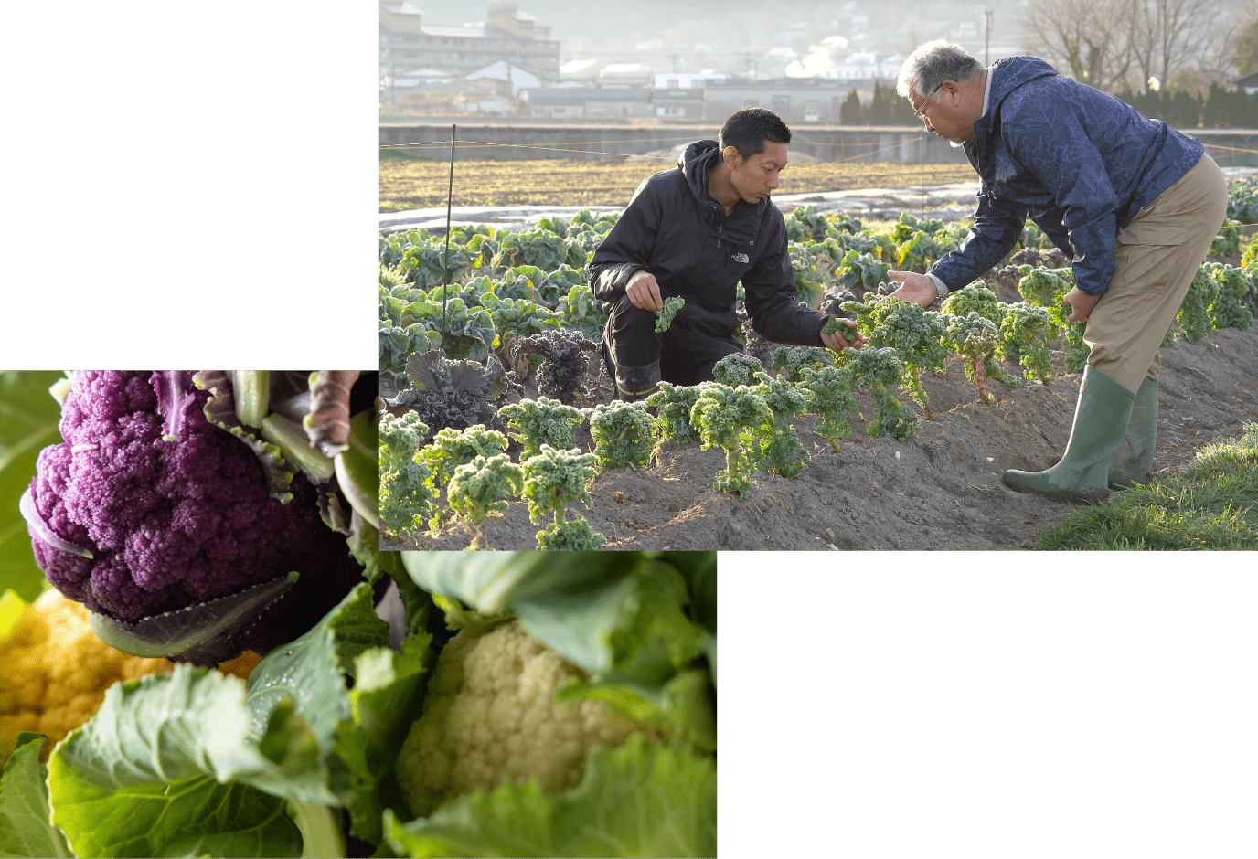 ENOWA Farm | ENOWA YUFUIN【公式】